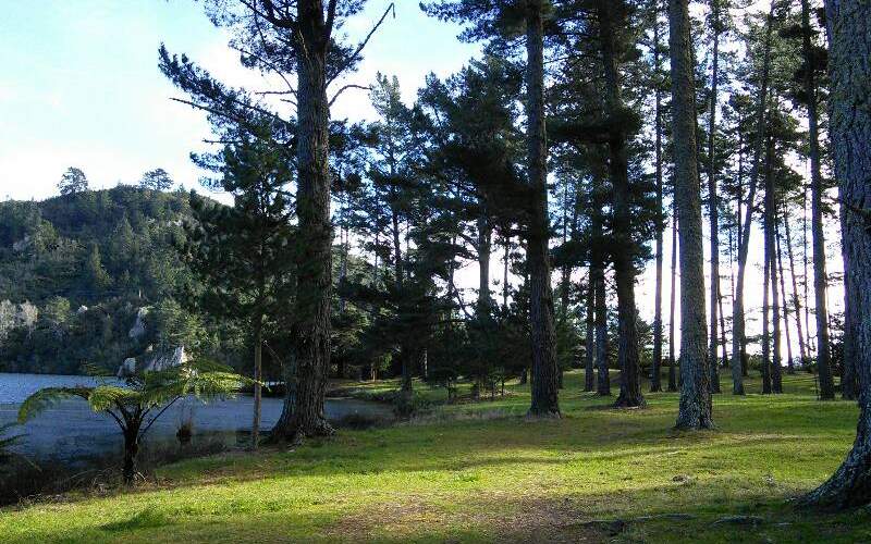 Whakamaru Reserve | Freedom/Basic Camp | New Zealand